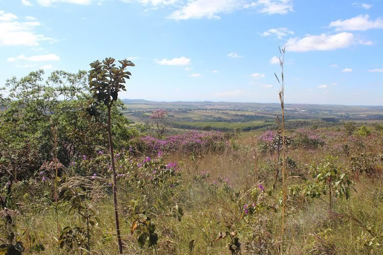 Projeto fotográfico contribui para preservação do Cerrado | UFG ... Projeto fotográfico contribui para preservação do Cerrado | UFG ...